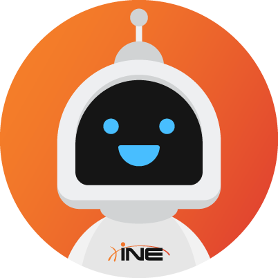 Premier IT Training Provider | INE